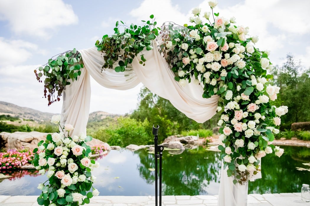 Portfolio | Lily & Lime